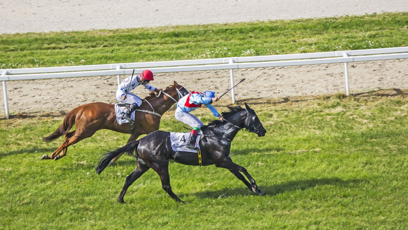 Weight Loss Tips From Horse Racing Jockeys - @thechannelrace.org