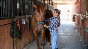 10 Horse Racing Jobs And What They Entail - Thechannelrace